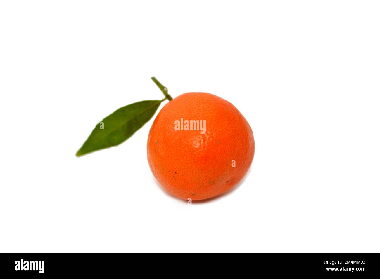 The mandarin orange (Citrus reticulata), also known as the mandarin or ...