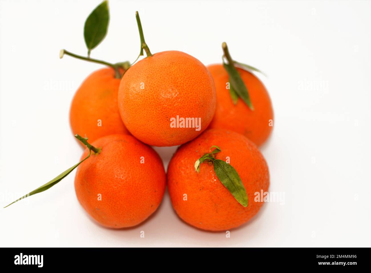 The mandarin orange (Citrus reticulata), also known as the mandarin or ...