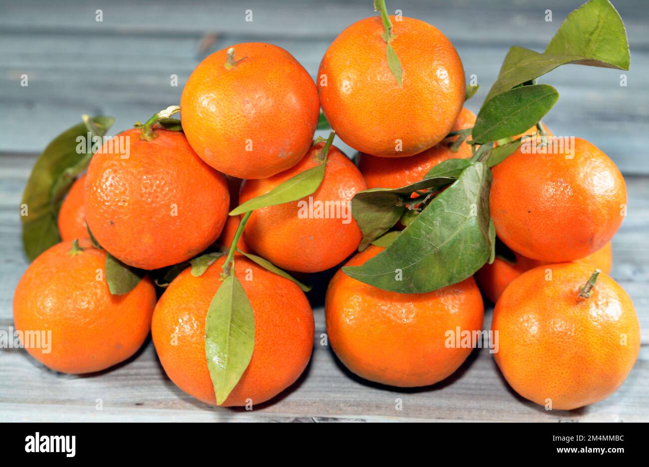 The mandarin orange (Citrus reticulata), also known as the mandarin or ...