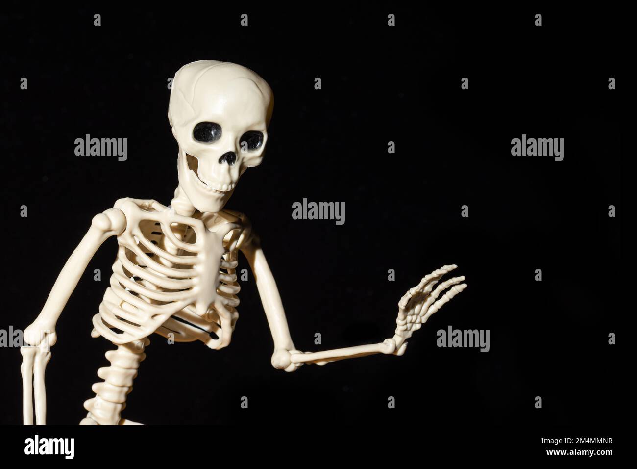 Human Skeleton waving greeting hand isolated on black background. Day ...