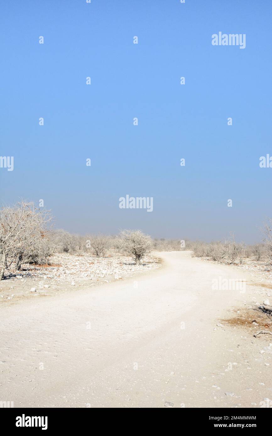 White dusty landscape with a cloudless blue sky in Etosha National Park ...