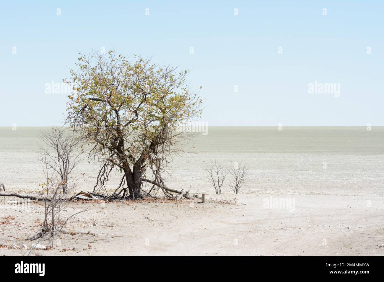 Namibia salt pans hi-res stock photography and images - Alamy