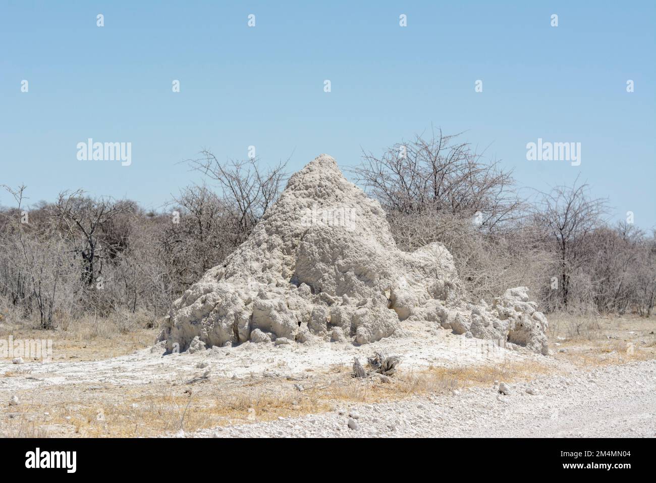 Large white termite mound, Etosha National Park, Namibia, Southwest ...
