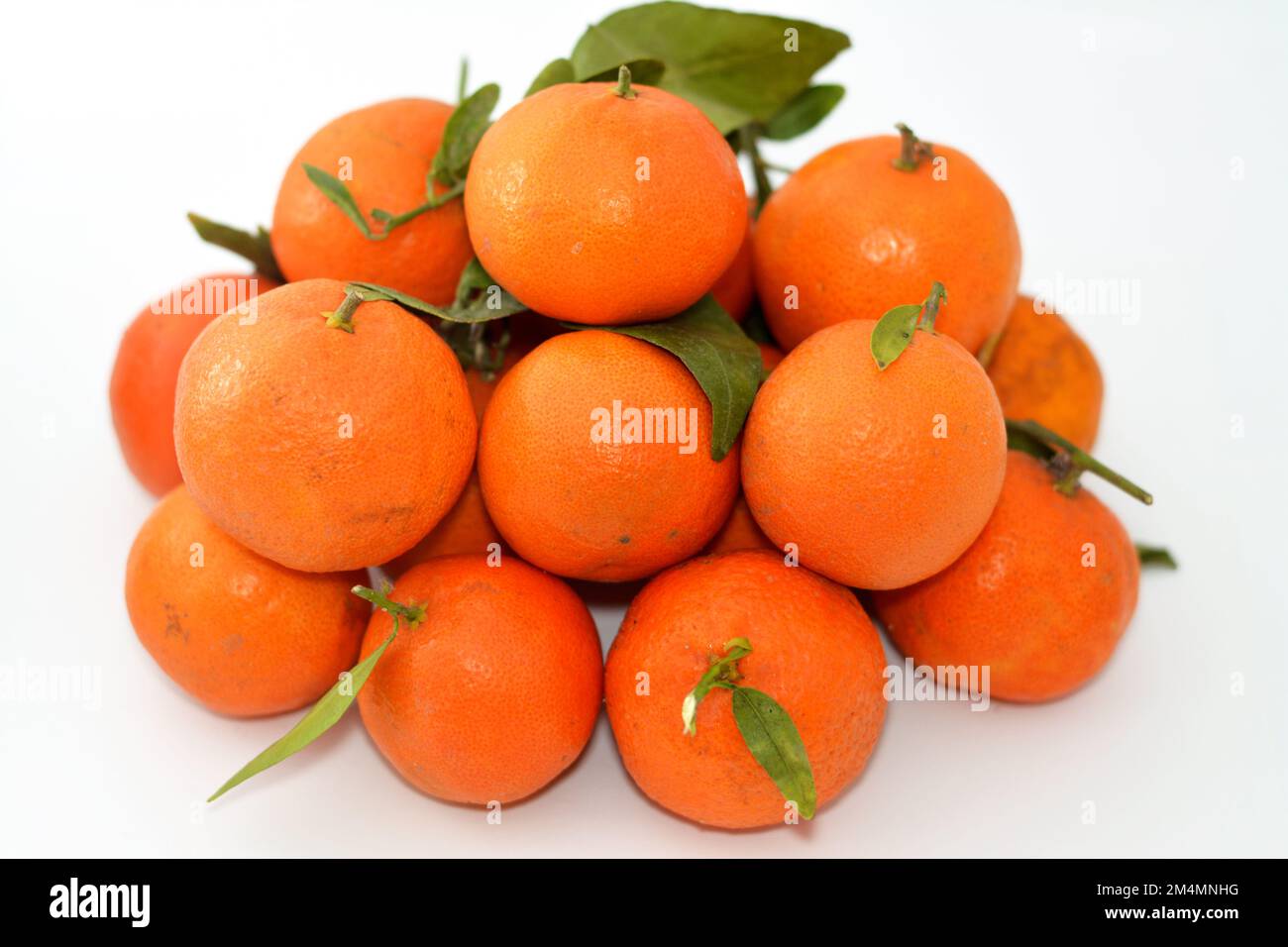The mandarin orange (Citrus reticulata), also known as the mandarin or ...