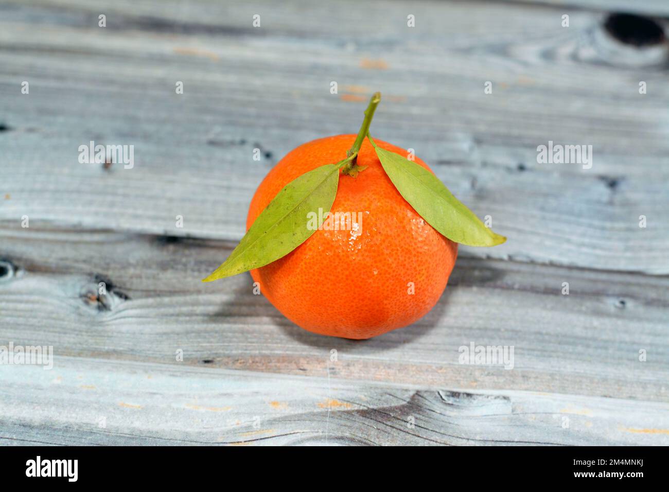 The mandarin orange (Citrus reticulata), also known as the mandarin or ...