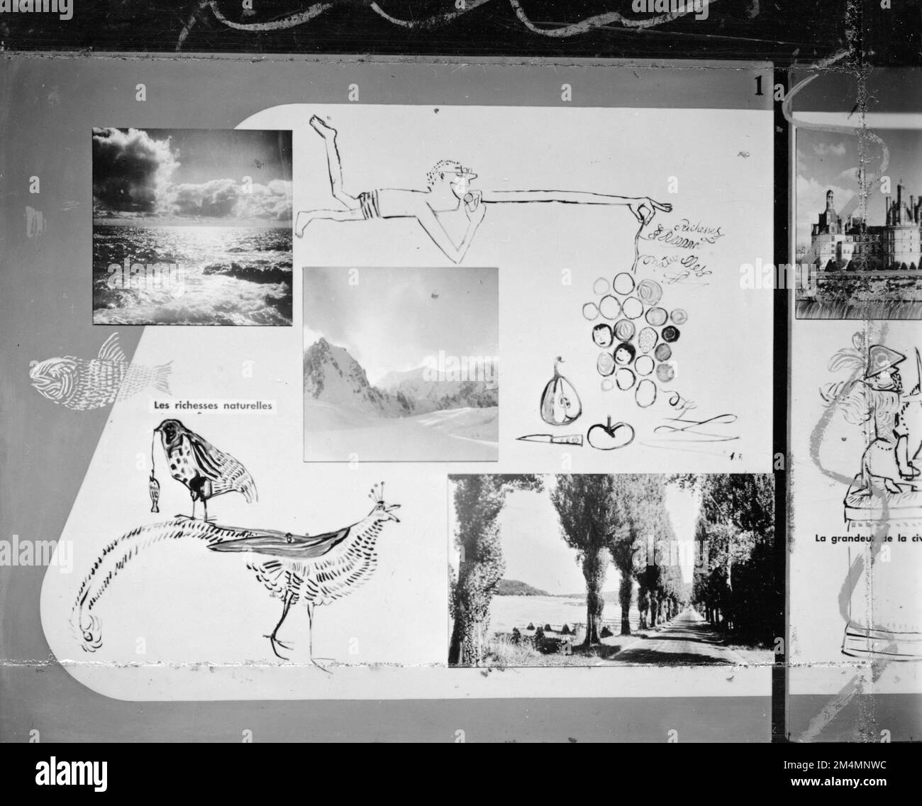 Marshall Plan Aid to French Tourism Shown at Paris Exhibition ...