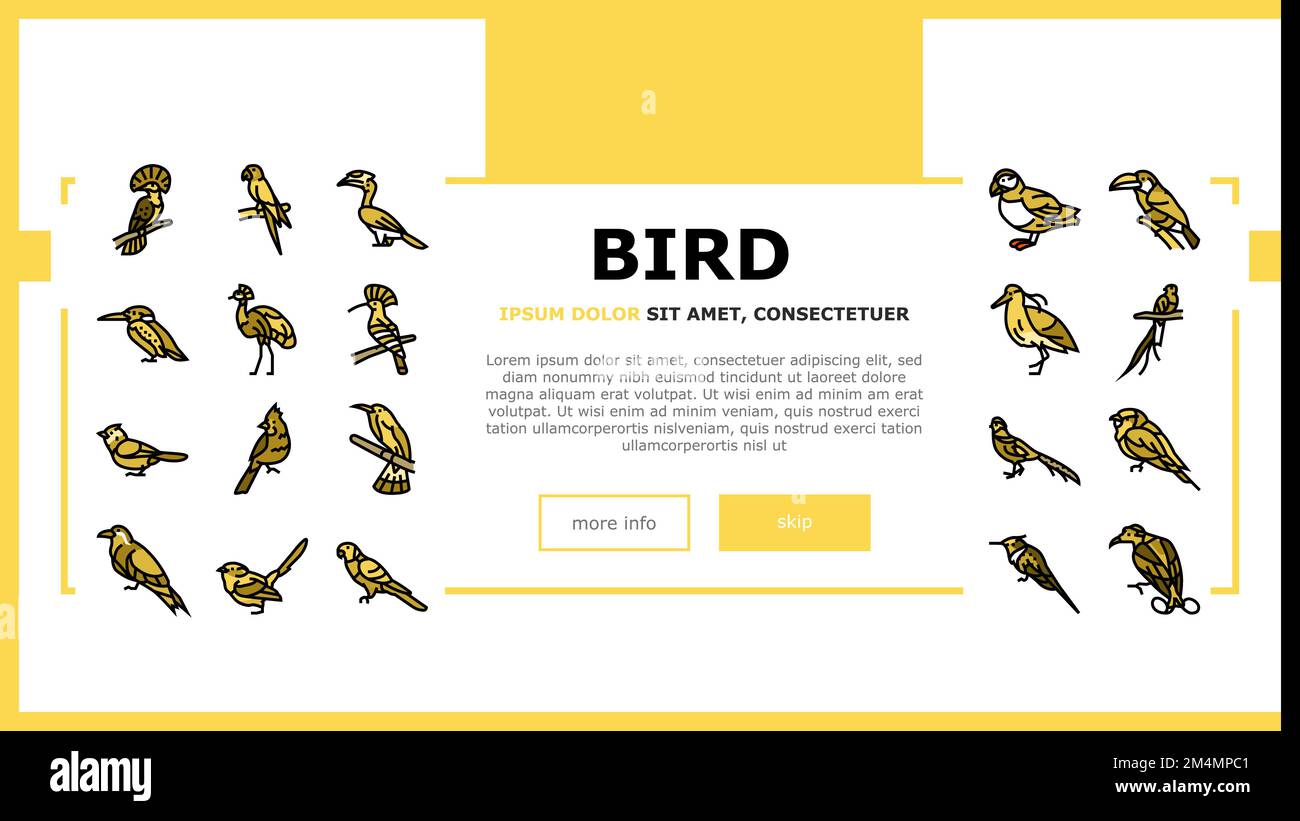 bird exotic animal nature wild landing header vector Stock Vector Image ...