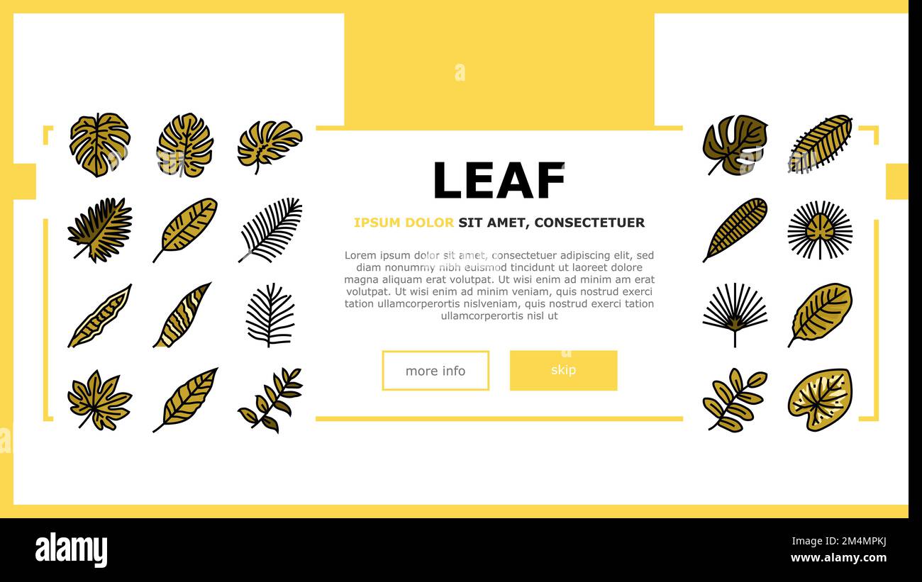 palm leaf summer plant green landing header vector Stock Vector Image ...