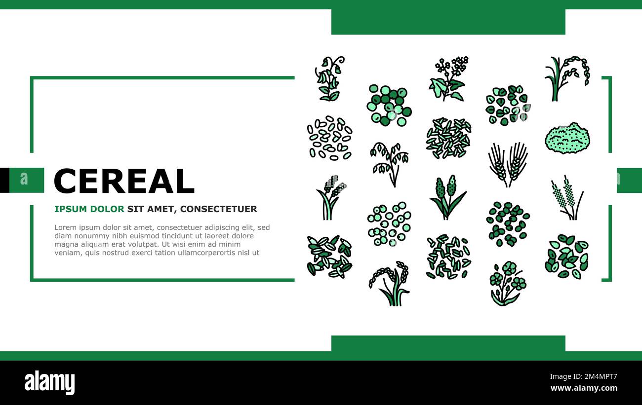 Cereal plant illustrations Stock Vector Images - Alamy