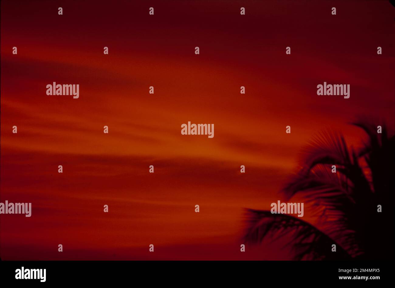 Sky Colors, India Stock Photo - Alamy