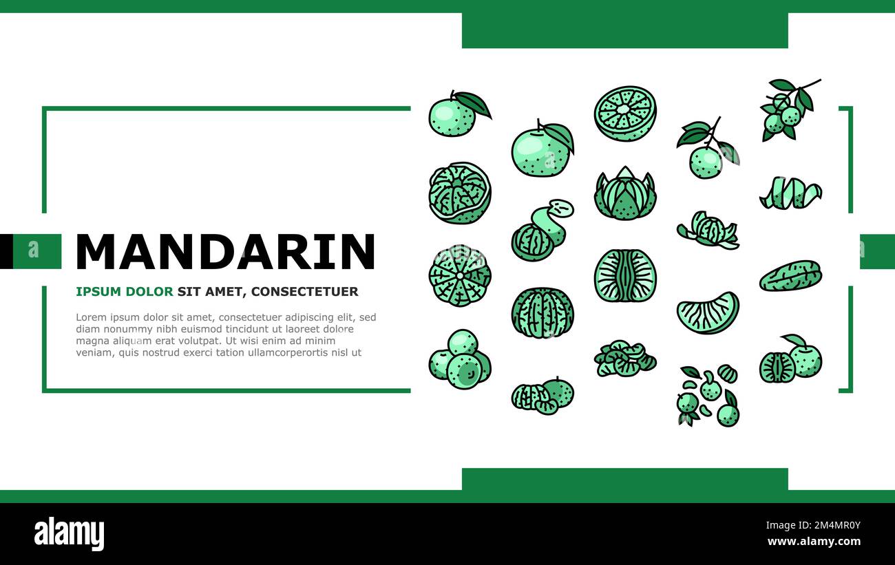 mandarin clementine orange fruit landing header vector Stock Vector Image & Art - Alamy