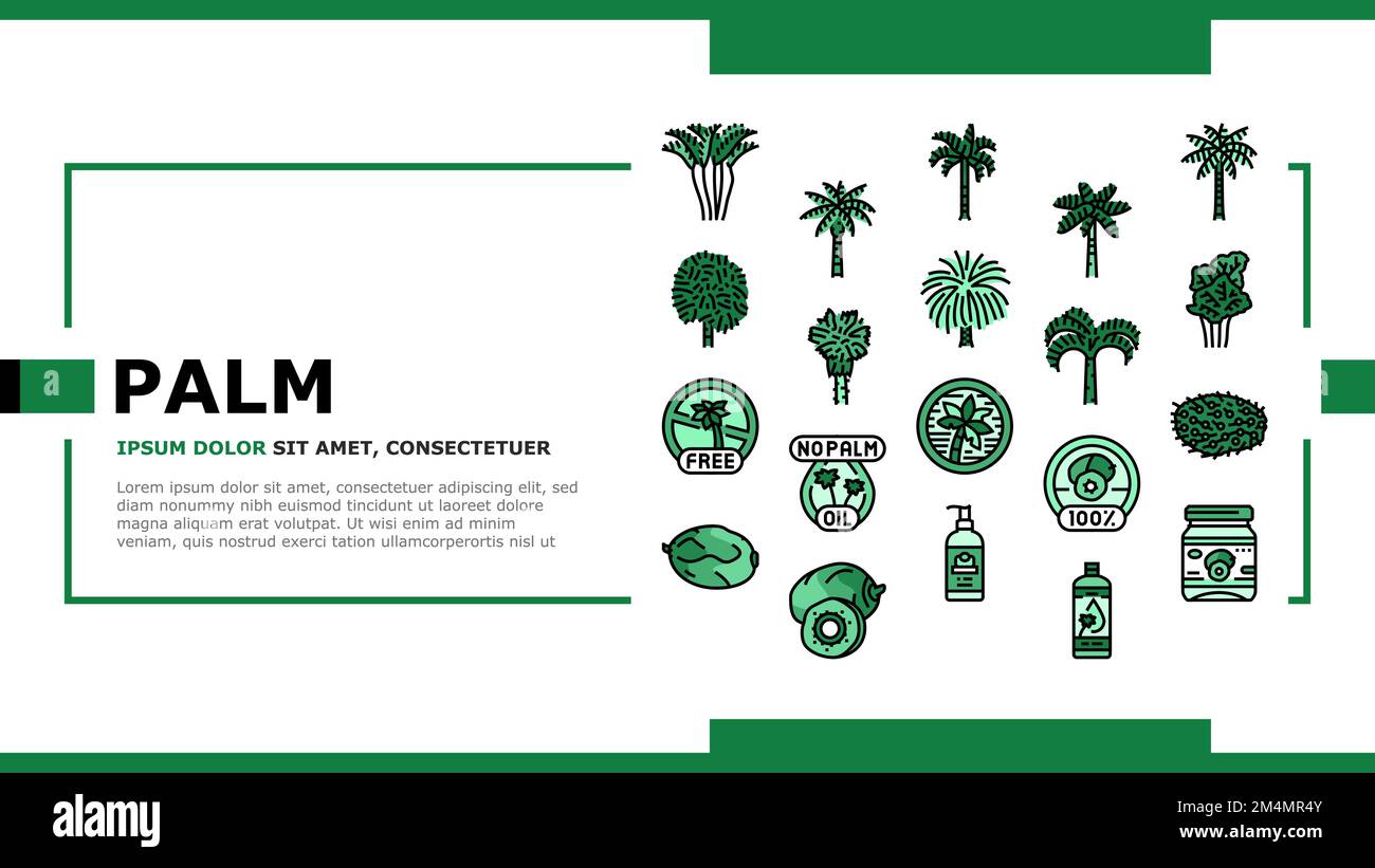 palm oil tree leaf landing header vector Stock Vector Image & Art - Alamy