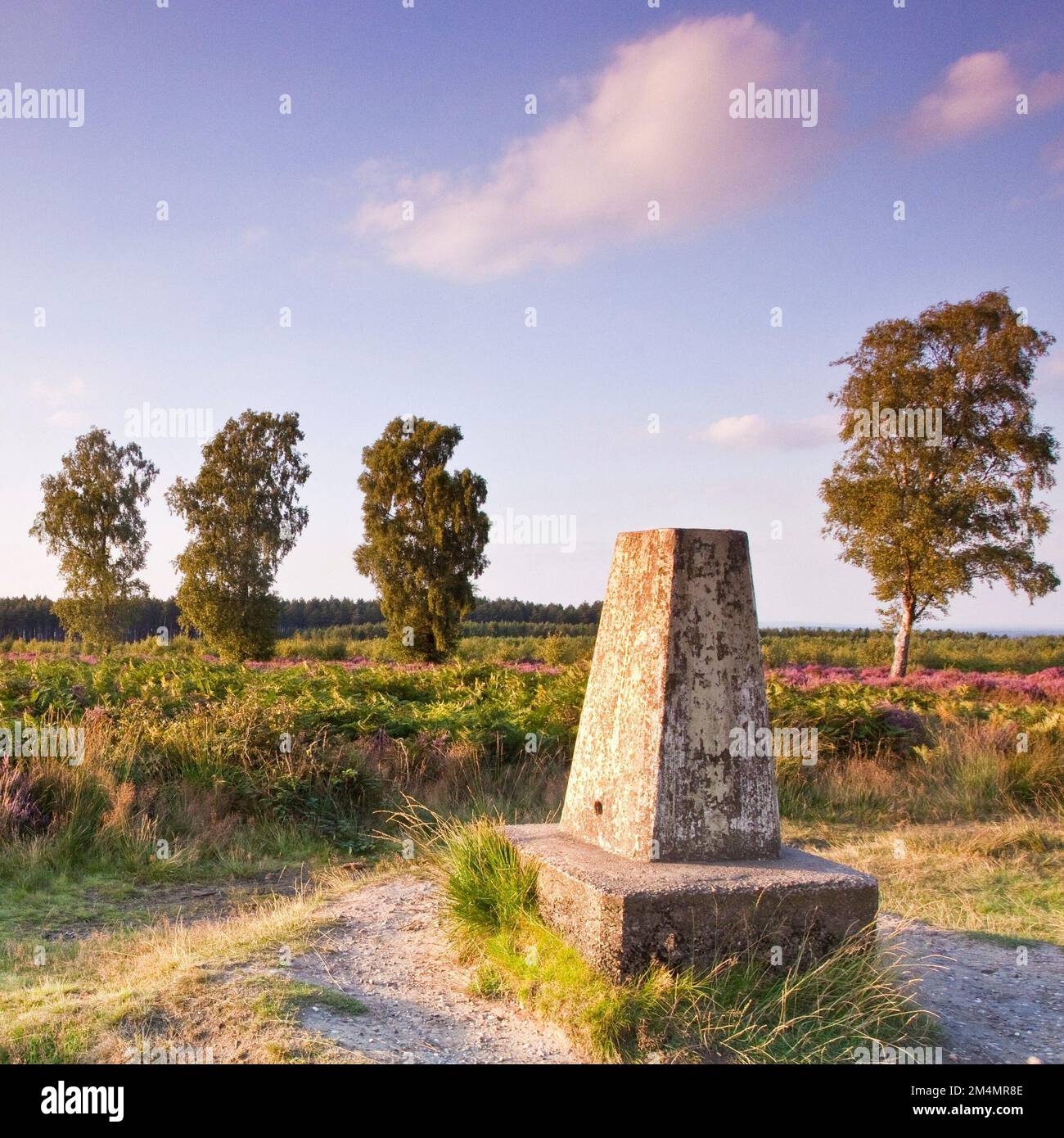 Trig point Late Summer Cannock Chase Country Park AONB (area of ...