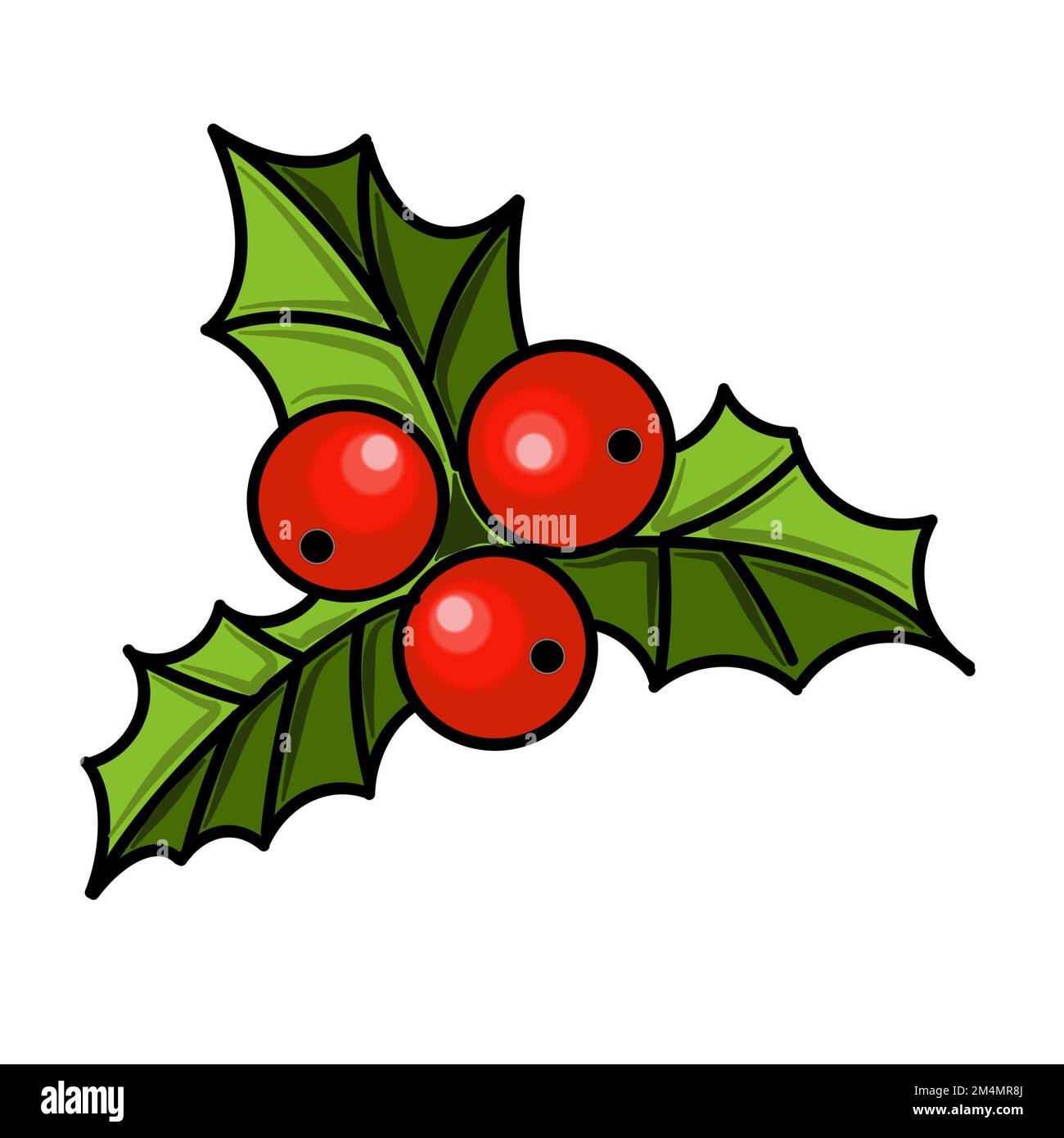 Holly Leaves Are Green With Red Berries JPEG Illustration Stock Photo holly-leaves-are-green-with-red-berries-jpeg-illustration-stock-photo