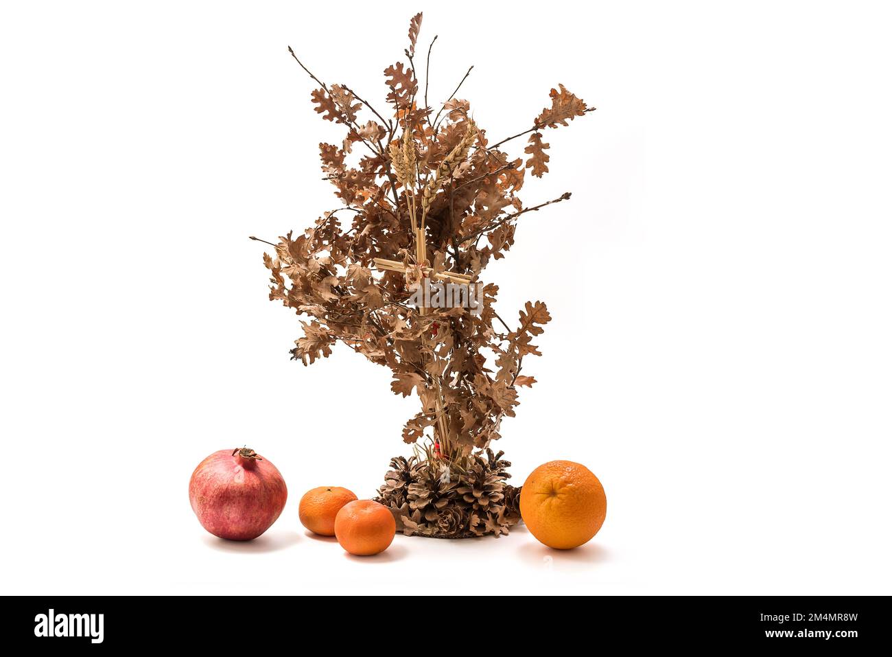 Orthodox Christian celebration - Badnjak. Serbian Christmas - Bozic ...