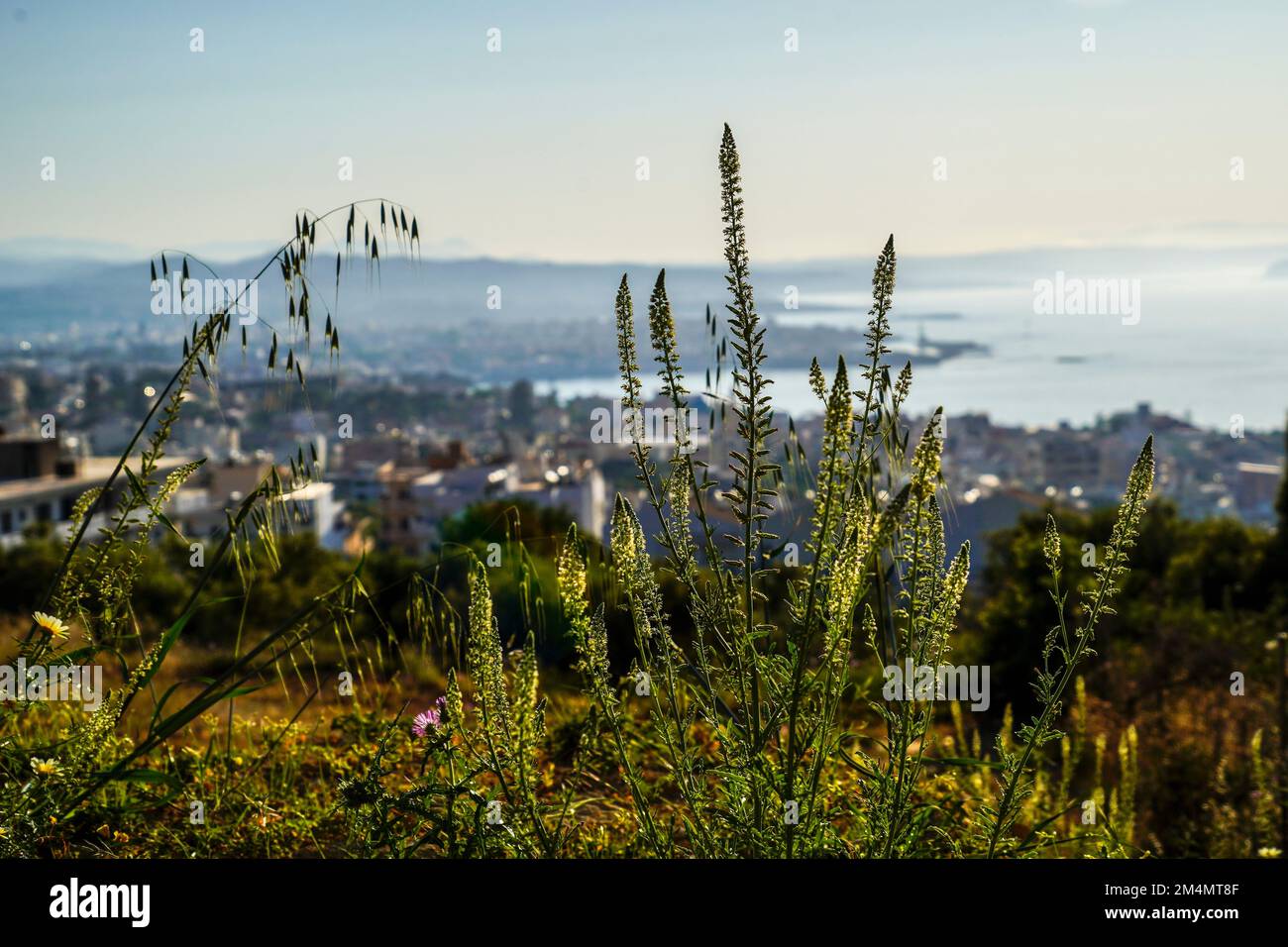 Chania, Crete, Greece, Landscape Stock Photo - Alamy
