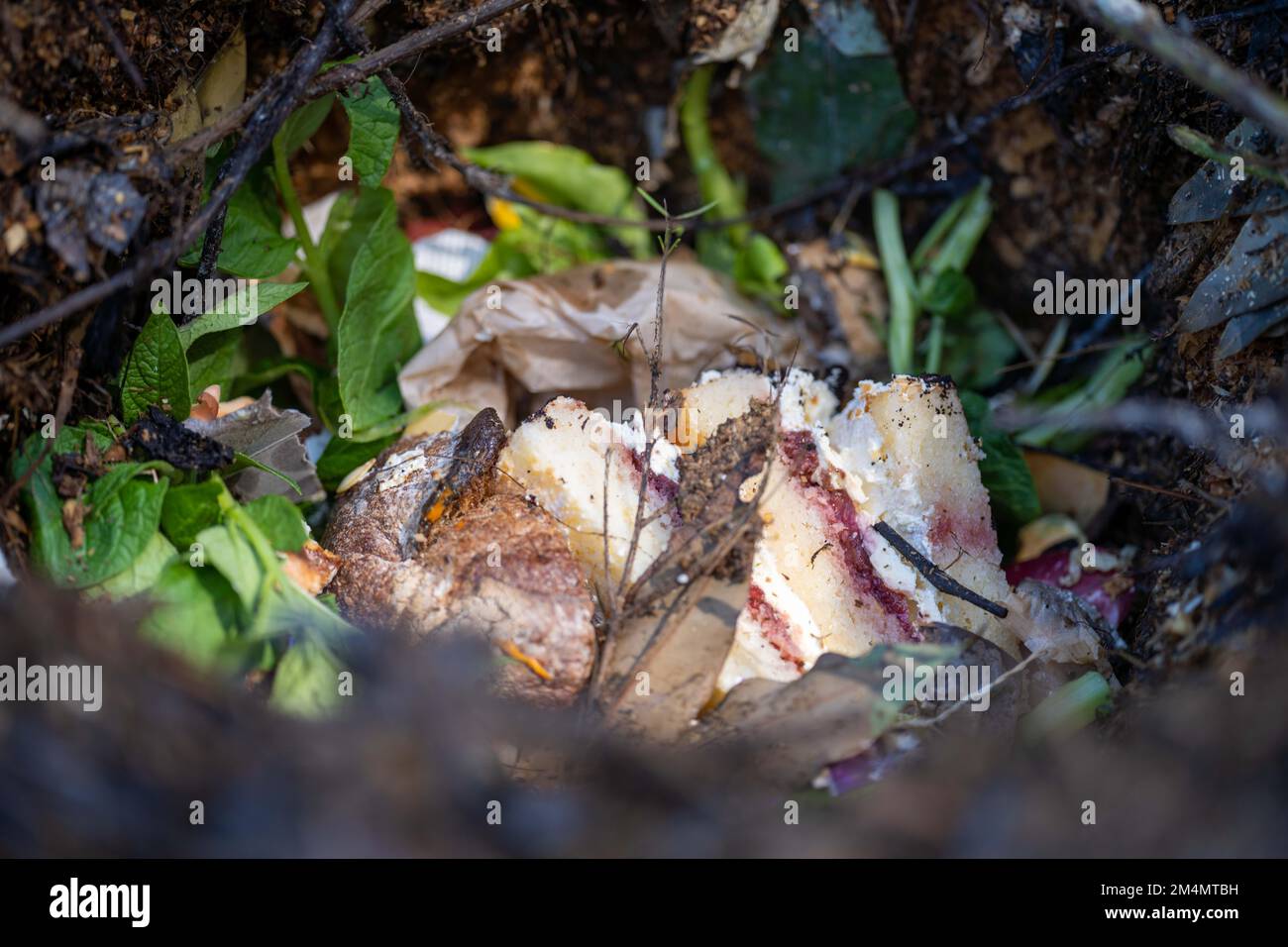 Turning a soil food web thermophilic compost pile full of ...