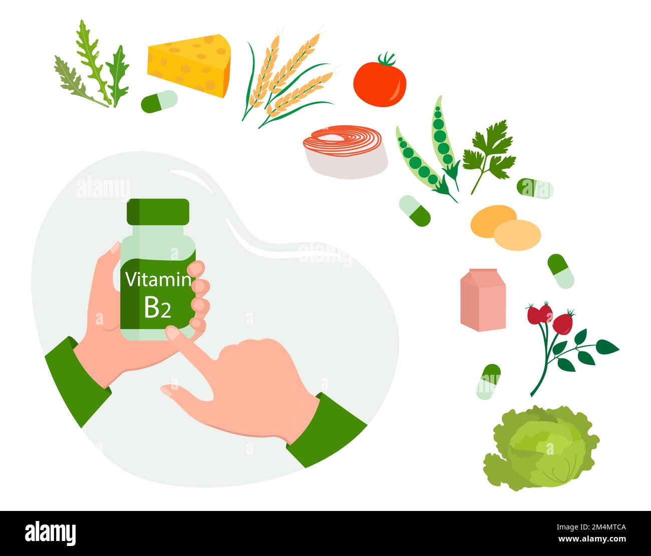 Vector illustration Hands holds bottle with supplement pills vitamin B2 ...