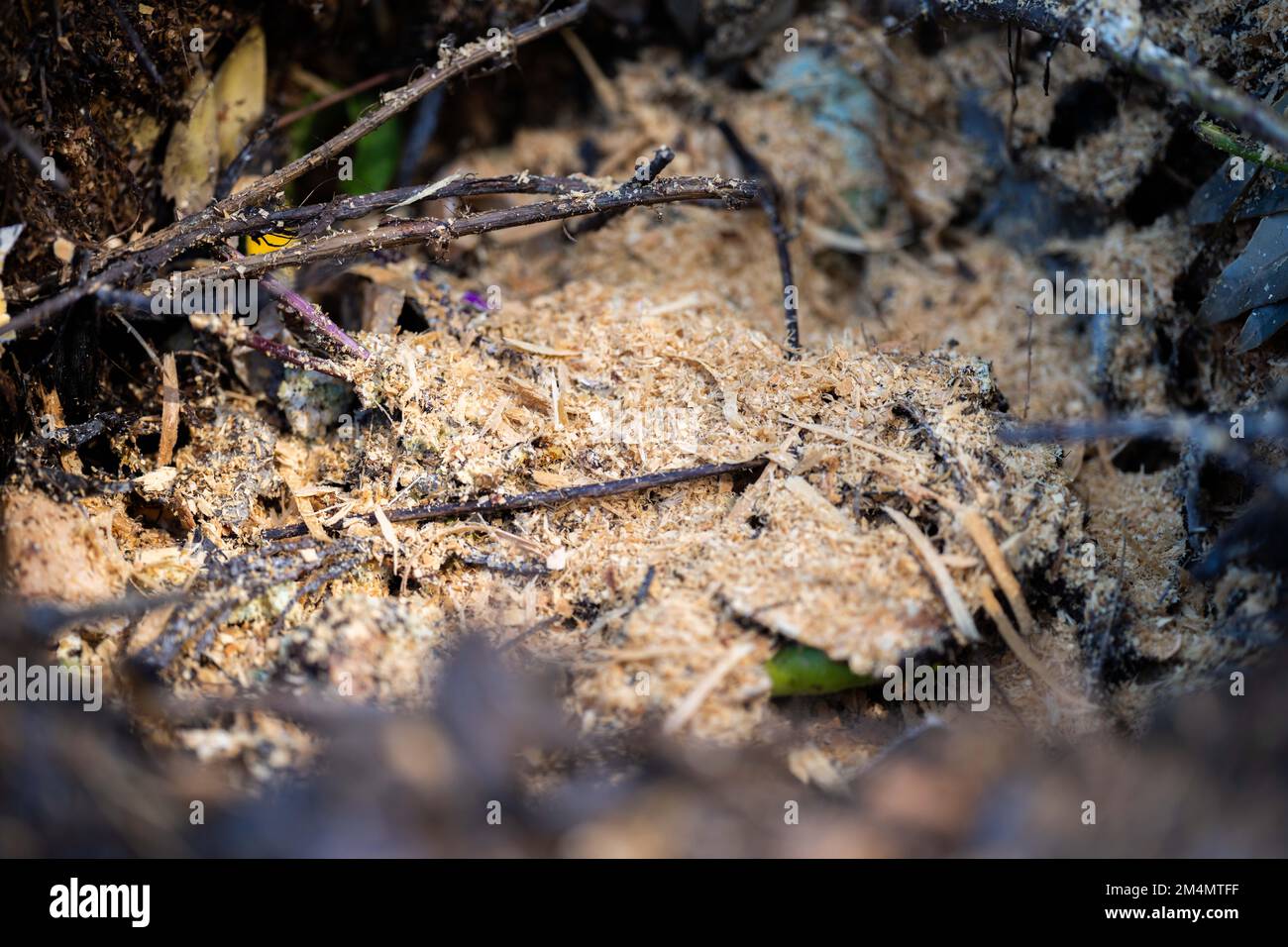 Turning a soil food web thermophilic compost pile full of ...
