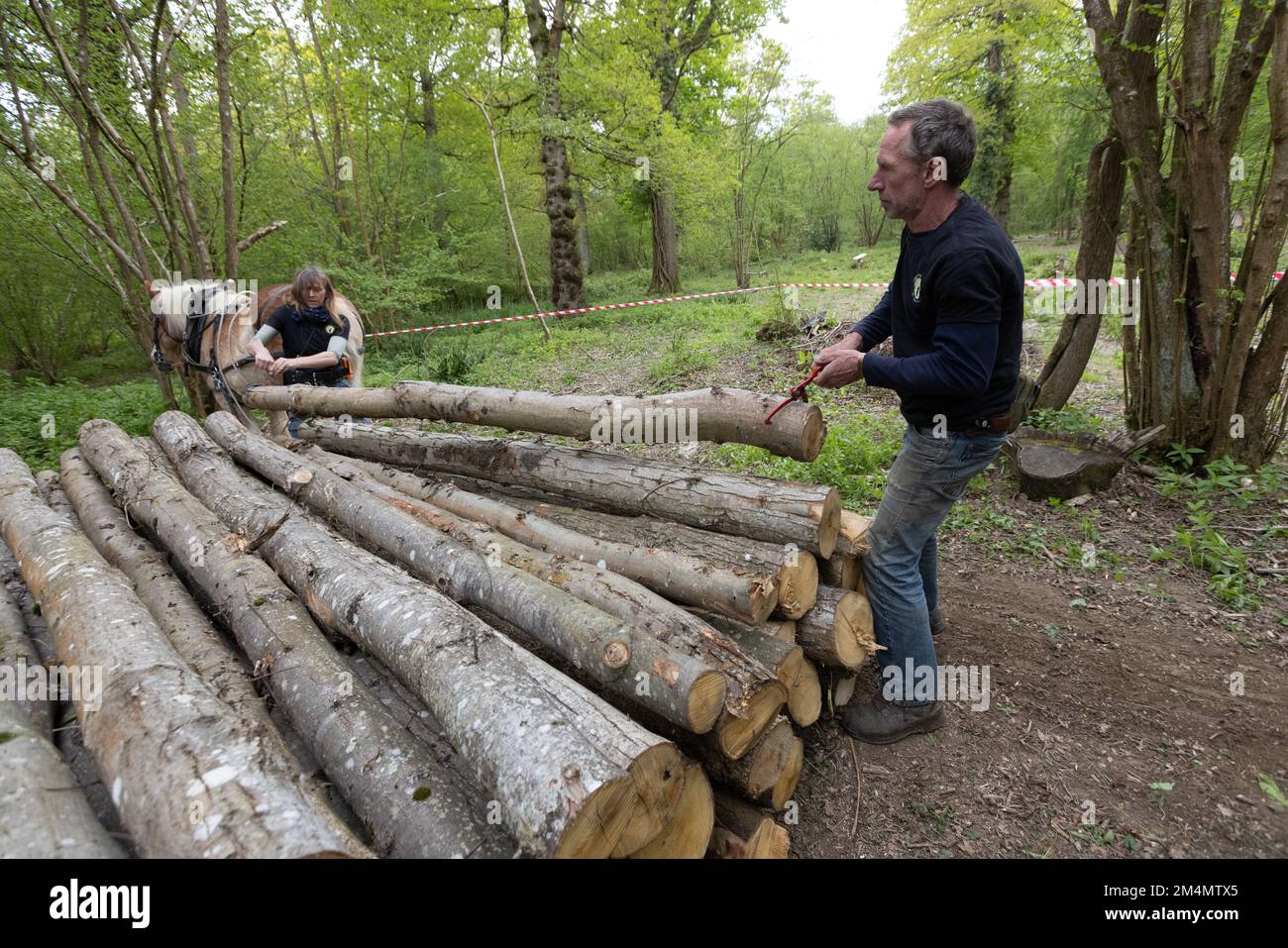 Frankie Woodgate & Tobias using a 'Timber arch' to pull partially ...