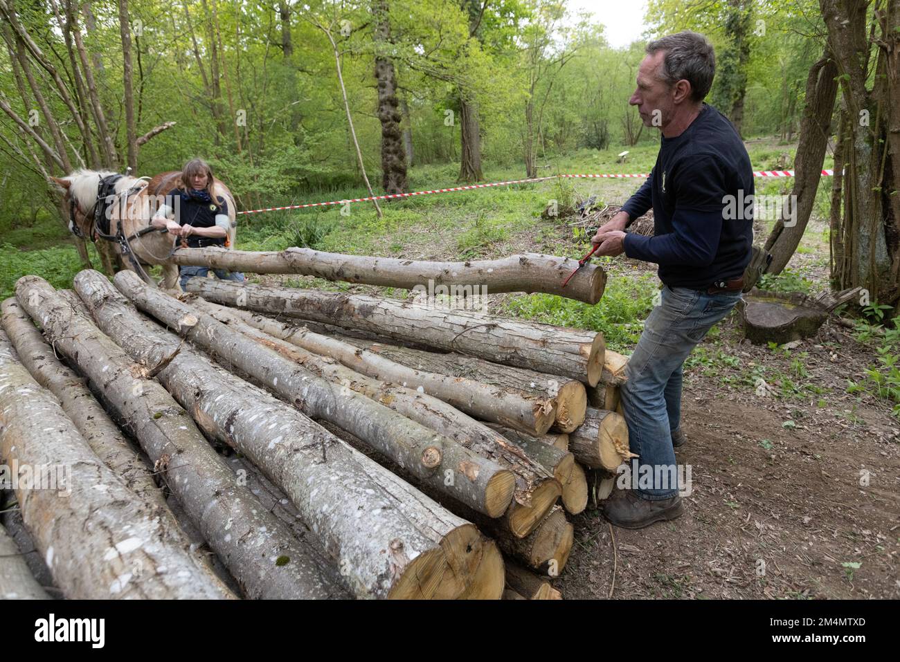Frankie Woodgate & Tobias using a 'Timber arch' to pull partially ...