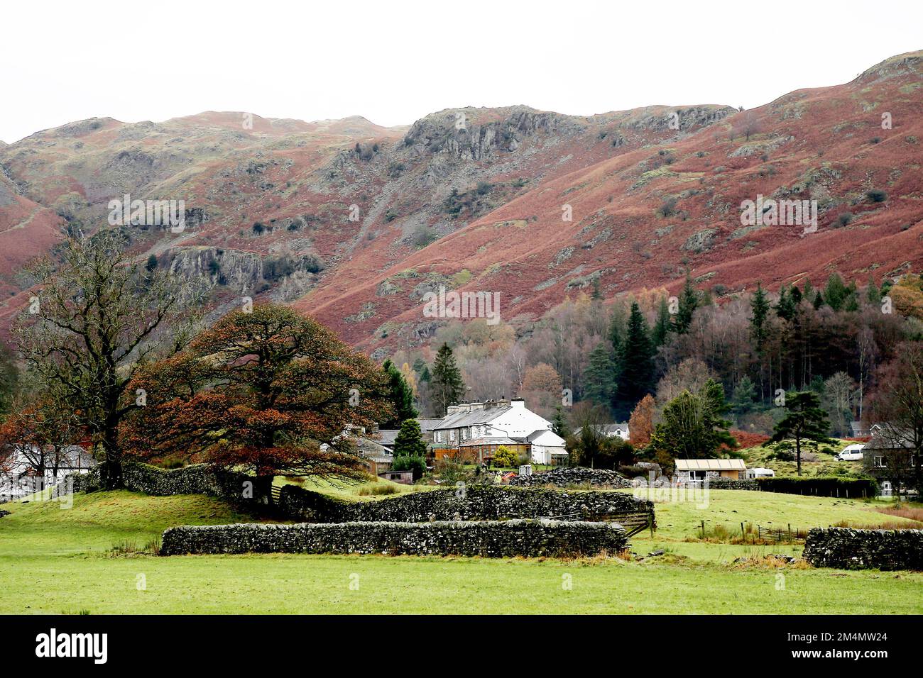 A general view of Elterwater, Langdale, Lake district National Park ...