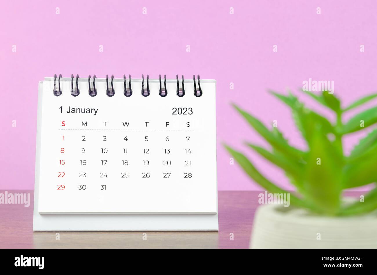 January 2023 Monthly desk calendar for the organizer to plan 2023 year ...