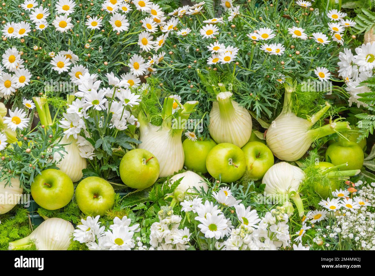 Varieties of seasonal fruits and vegetables set on a background of ...