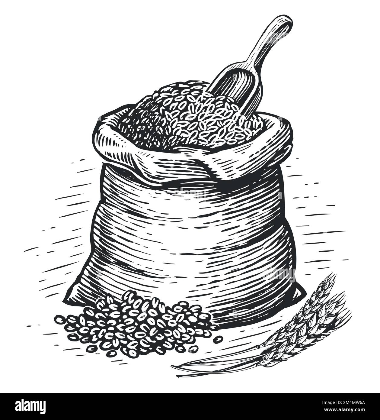 Sack full of wheat grains, sketch. Farm organic food, bread baking ...