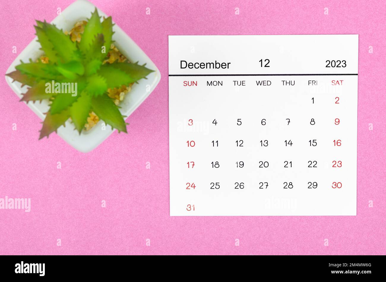 December 2023 Monthly calendar for 2023 year on pink background Stock ...