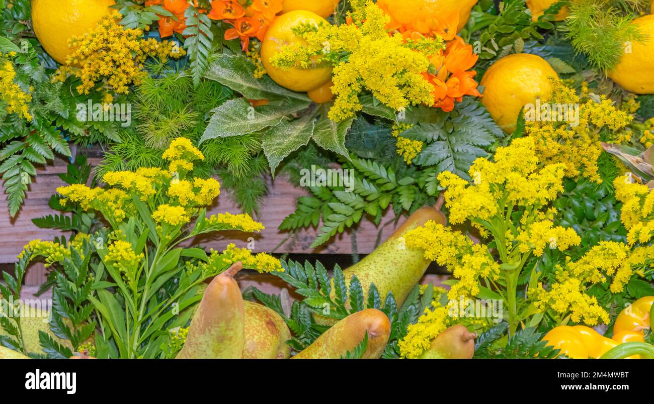 Colorful background with flowers, pears and lemons Stock Photo - Alamy