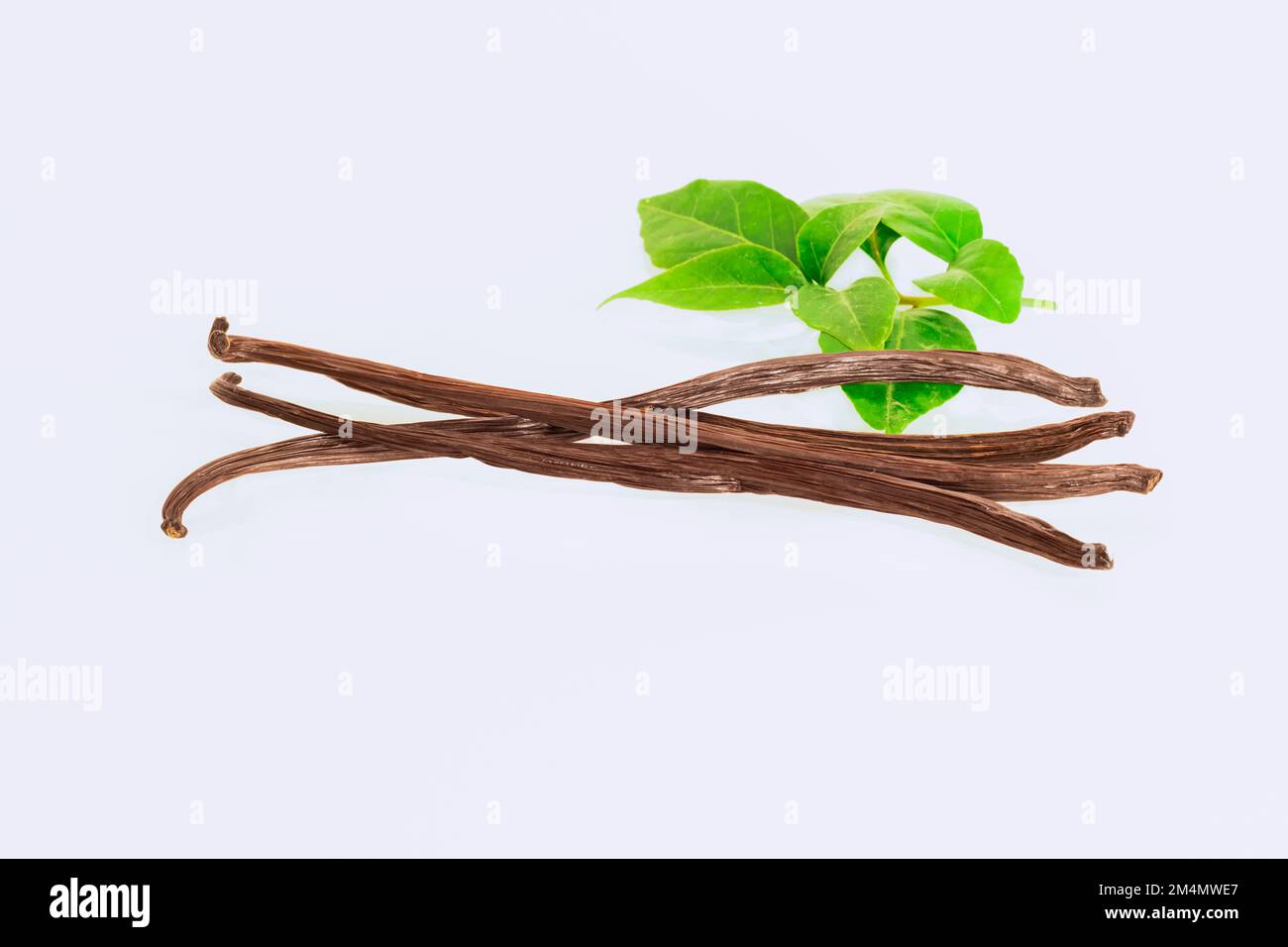 Vanilla beans on white background Stock Photo - Alamy