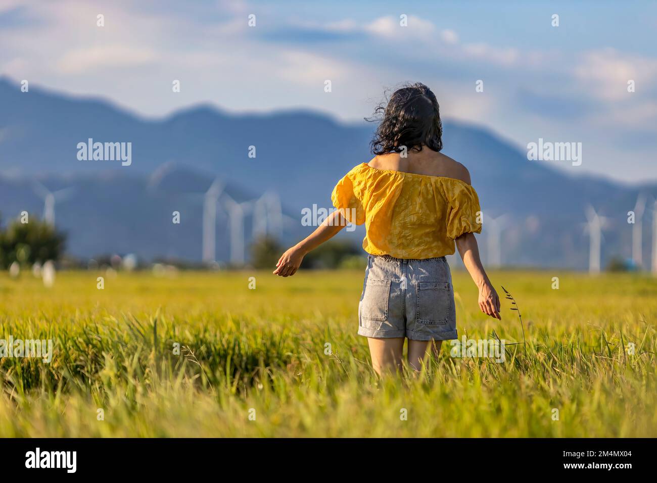 WOMAN RELAXING ON RICE FIELD AND WIND FARM OR WIND PARK BACKGROUND ...