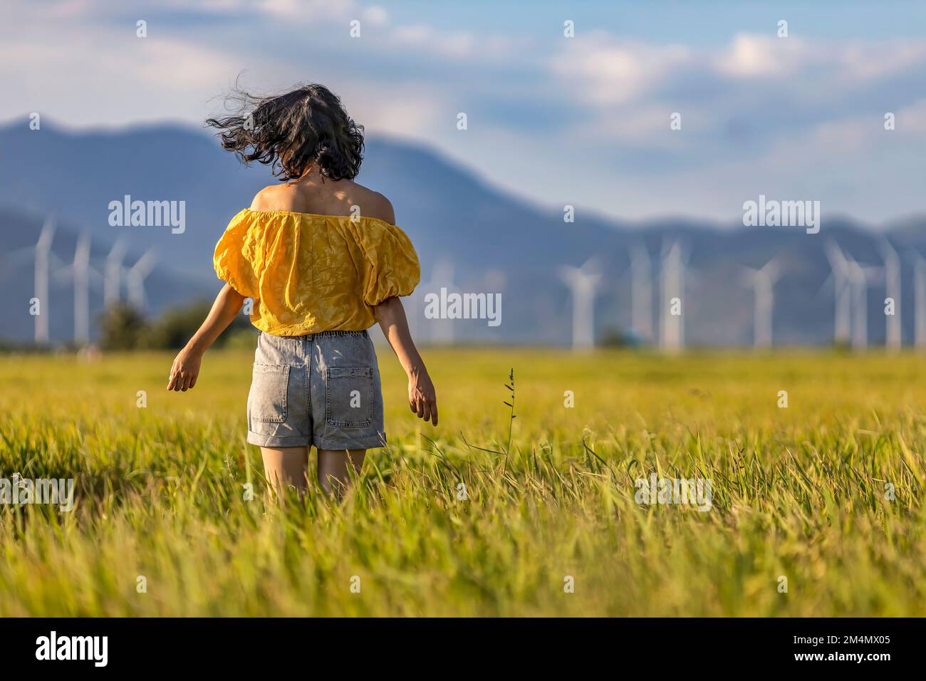 WOMAN RELAXING ON RICE FIELD AND WIND FARM OR WIND PARK BACKGROUND ...