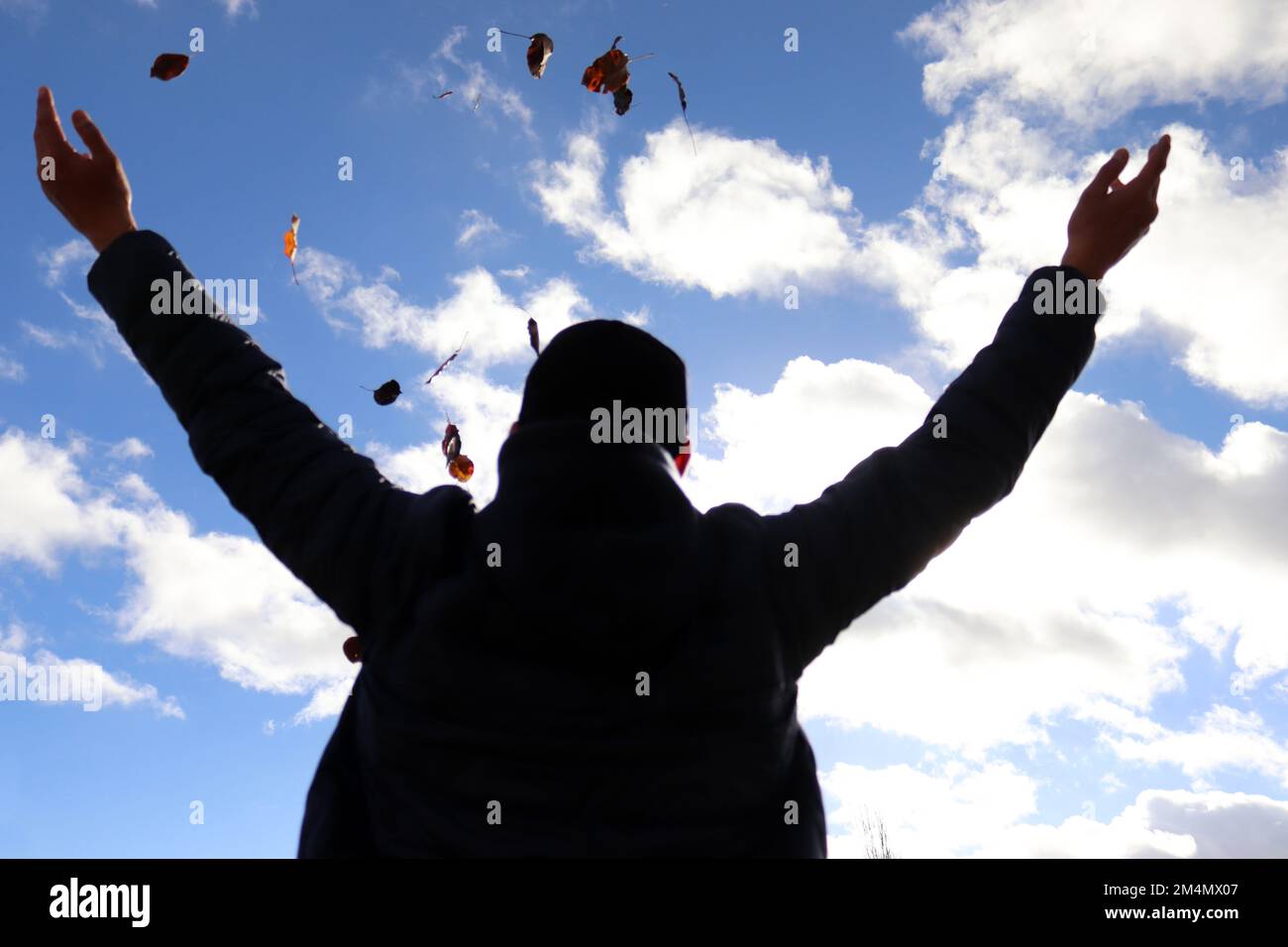 a young man throwing leaves into the air Stock Photo - Alamy