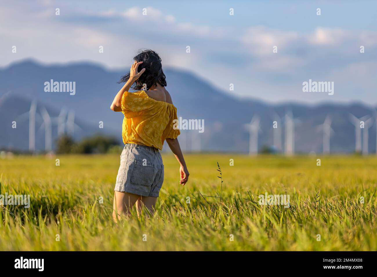 WOMAN RELAXING ON RICE FIELD AND WIND FARM OR WIND PARK BACKGROUND ...