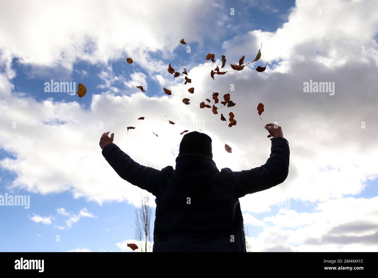 a young man throwing leaves into the air Stock Photo - Alamy
