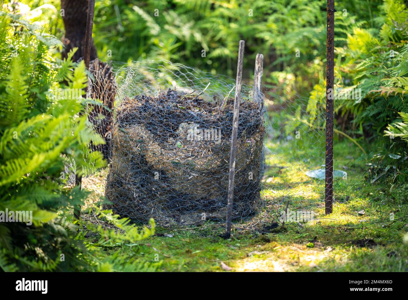 Turning a soil food web thermophilic compost pile full of ...