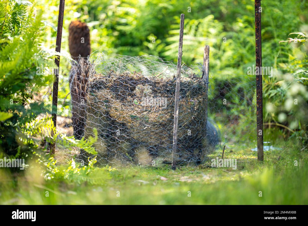 Turning a soil food web thermophilic compost pile full of ...