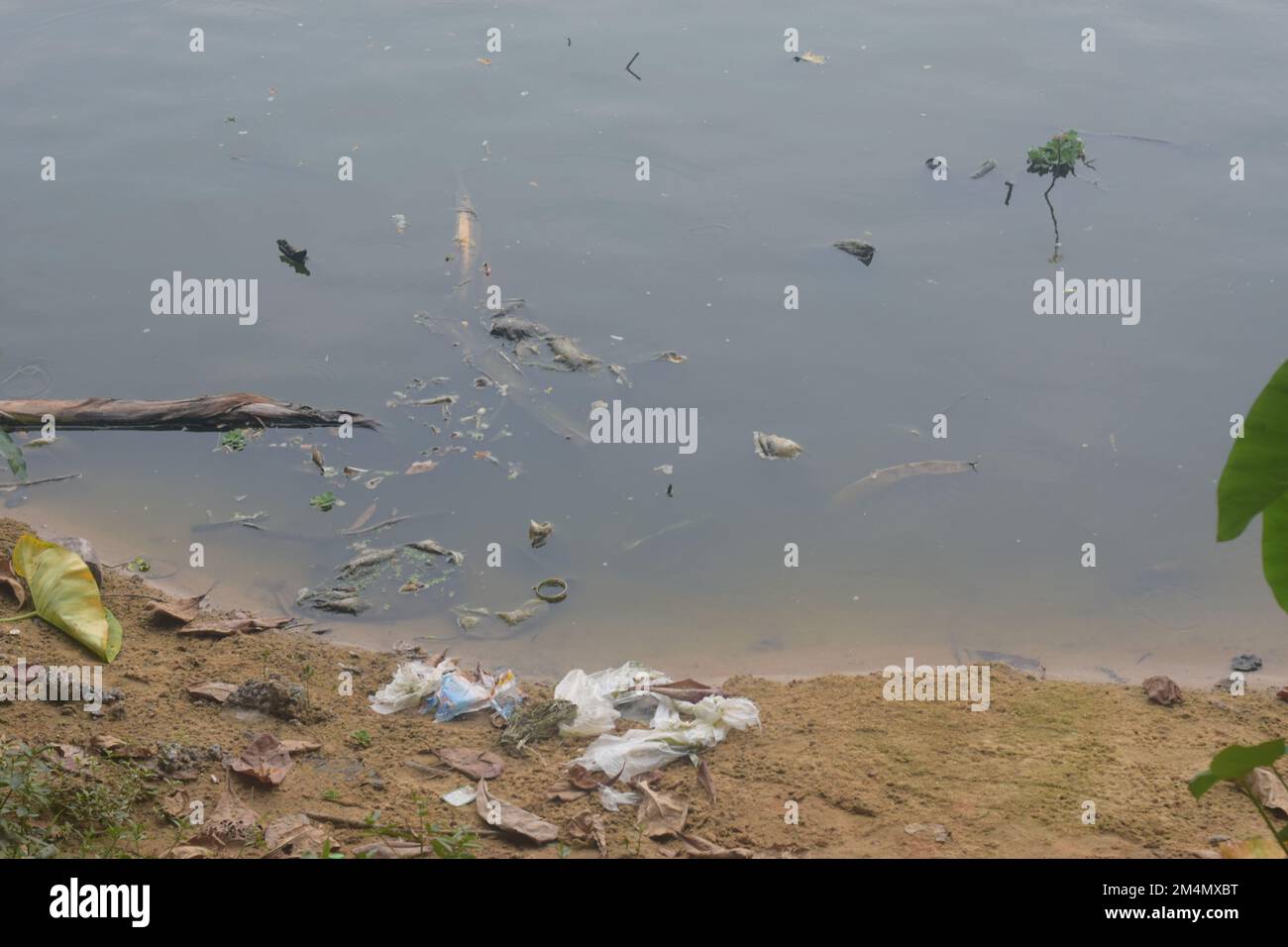 A river with garbage. Polluted water, environment. Ecology concept ...