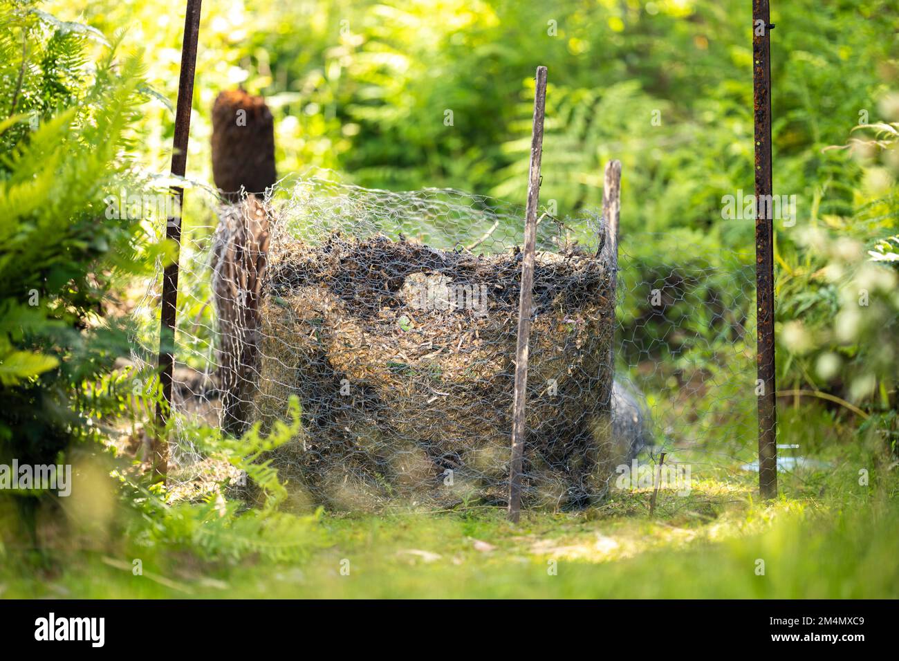 Turning a soil food web thermophilic compost pile full of ...