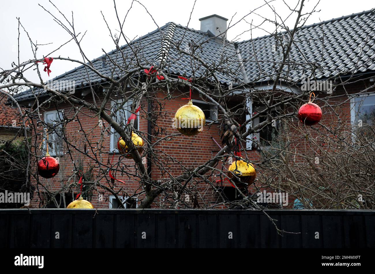 Dane tree house hi-res stock photography and images - Alamy