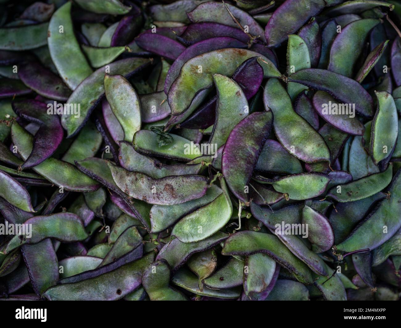 Vibrant South Asian flavours and fresh, organic South Asian vegetables ...