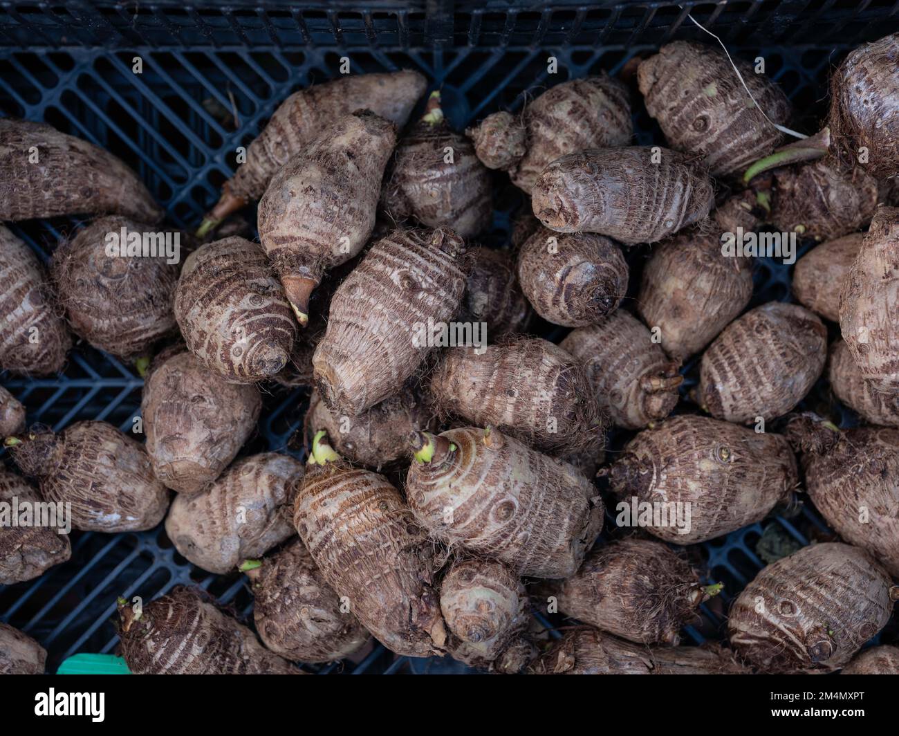 Vibrant South Asian flavours and fresh, organic South Asian vegetables ...