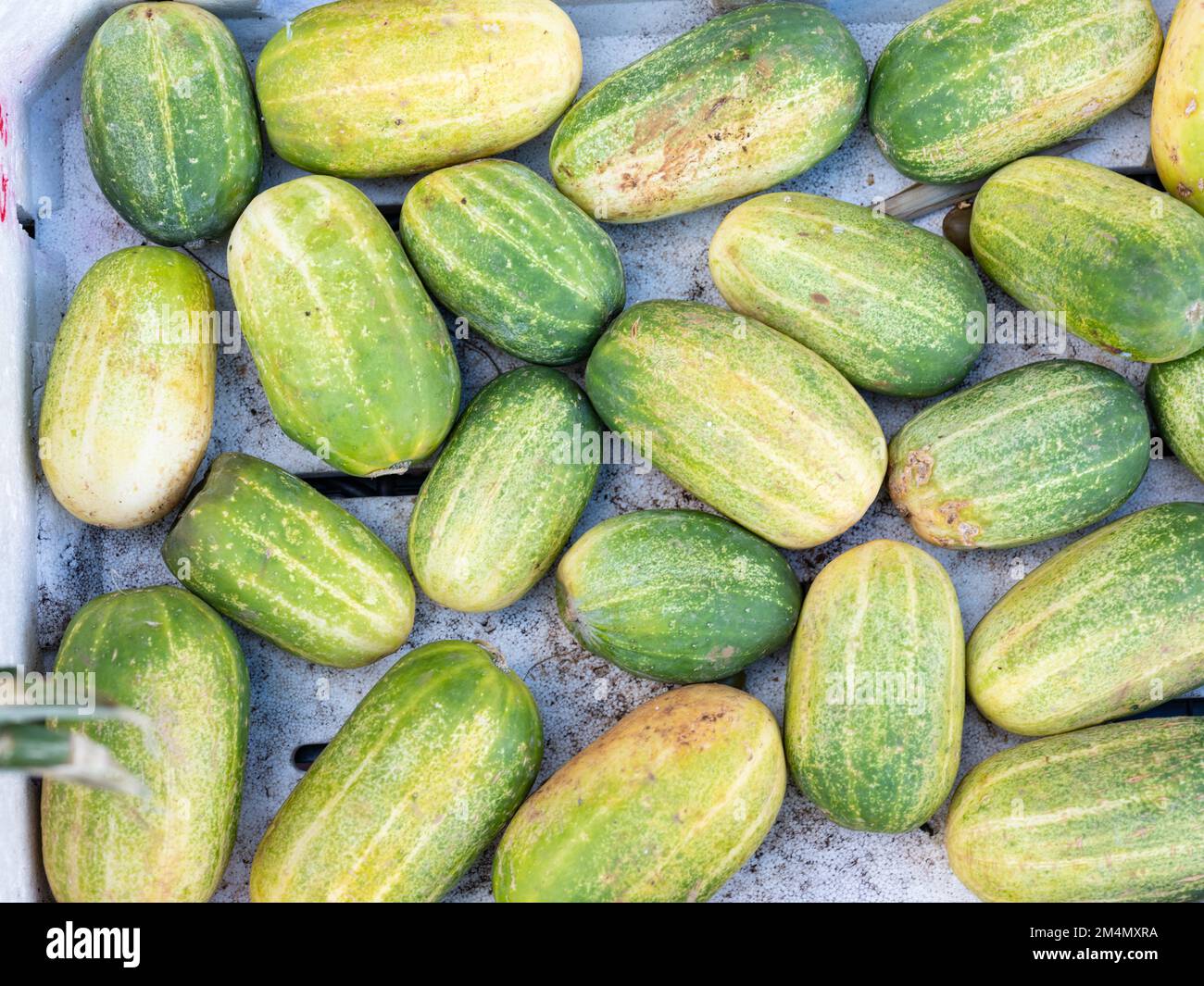 Vibrant South Asian flavours and fresh, organic South Asian vegetables ...