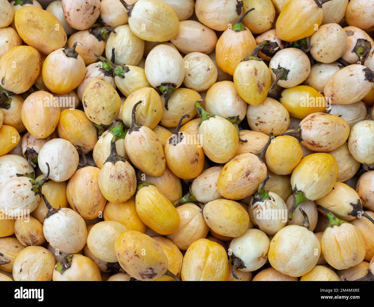 Vibrant South Asian flavours and fresh, organic South Asian vegetables ...