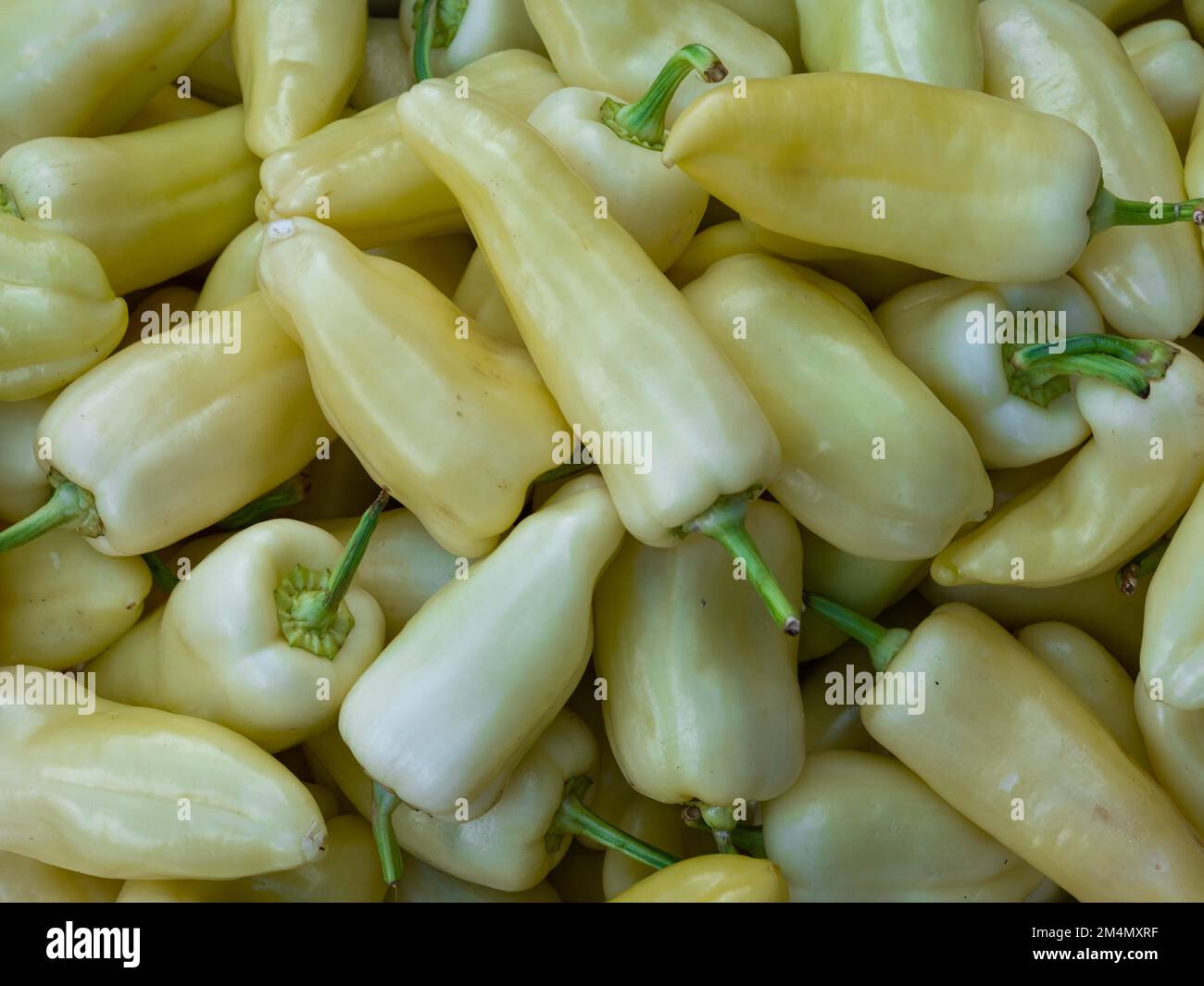 Vibrant South Asian flavours and fresh, organic South Asian vegetables ...