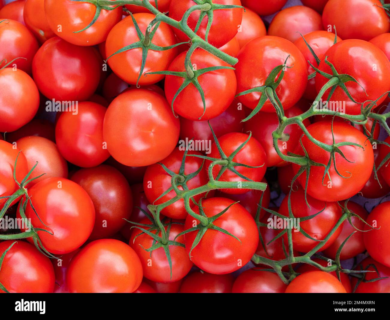 Vibrant South Asian flavours and fresh, organic South Asian vegetables ...