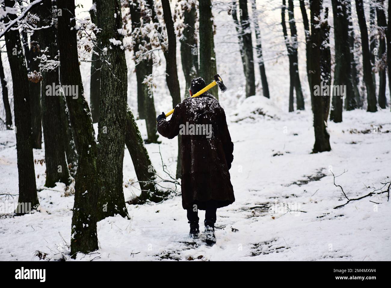 Man walking into forest with axe hi-res stock photography and images ...