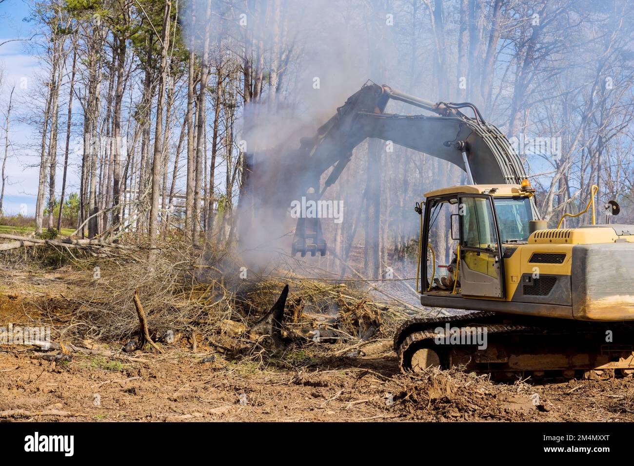 Build houses complex, it is necessary to clear land burning trees that ...